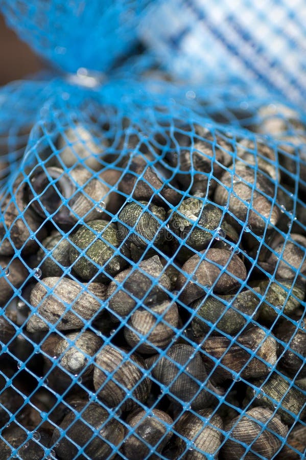 Mussel Sacks Stock Photos - Free & Royalty-Free Stock Photos from ...