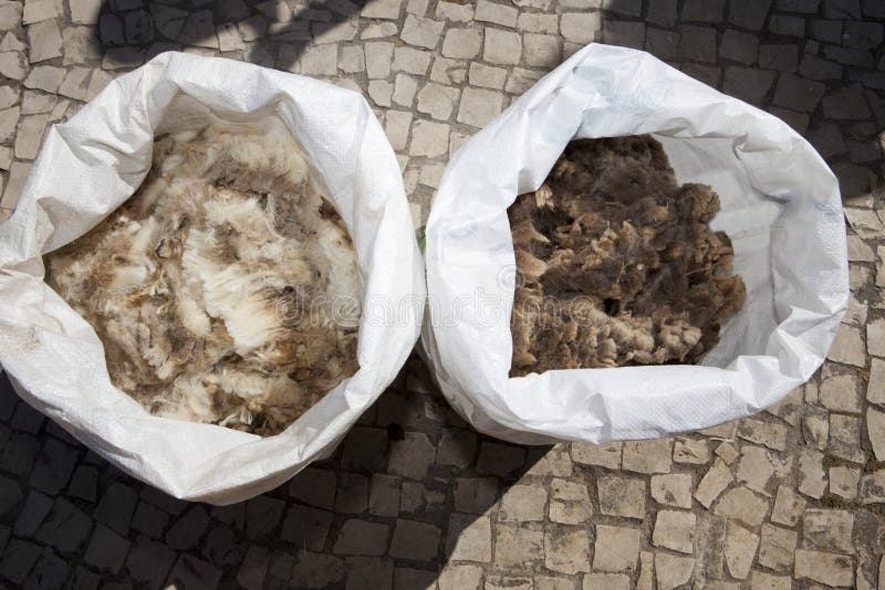 Sacks full of wool stock image. Image of organic, agriculture - 54083515