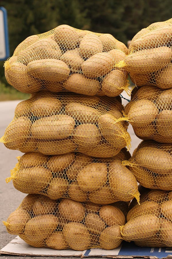 A sacks of potatoes stock photo. Image of sack, fresh - 7836622