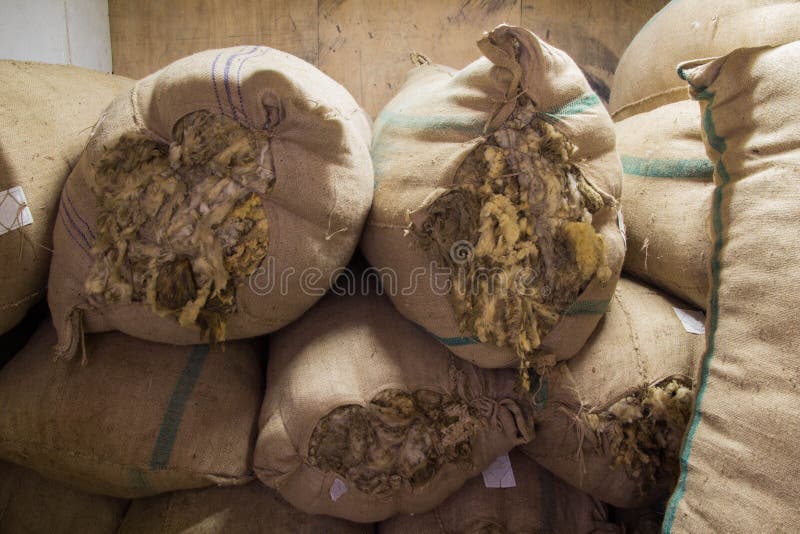 Sacks with raw wool stock image. Image of spinning, craft - 50720775