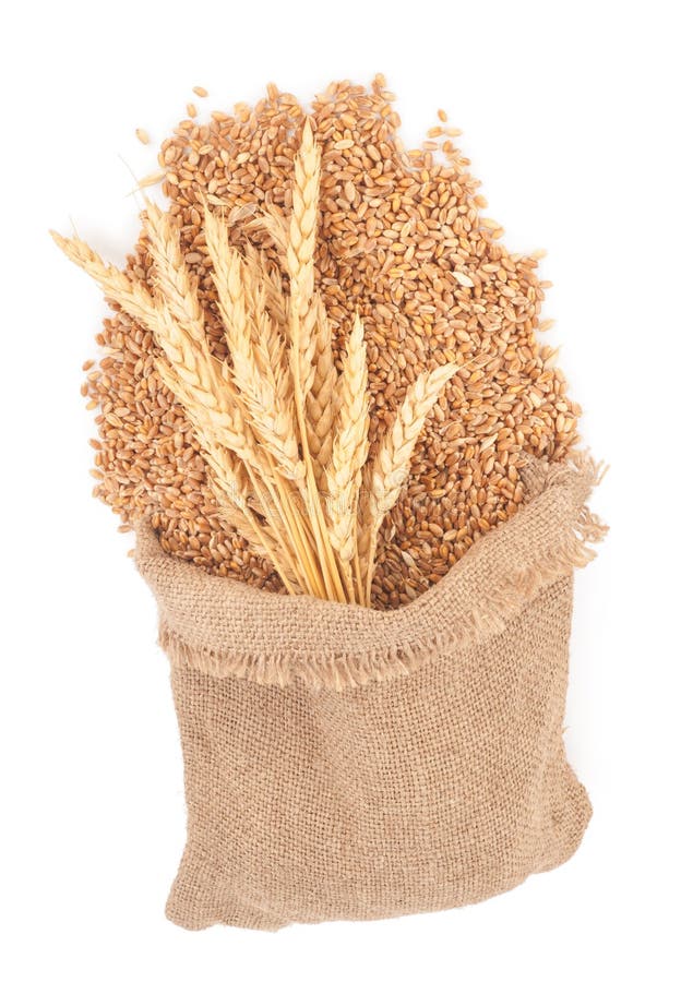 Sacks of wheat grains stock photo. Image of open, sack - 17304768