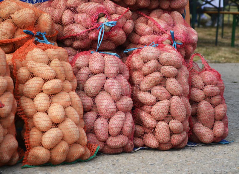 Sacos de batatas na terra foto de stock. Imagem de carboidrato - 129395664