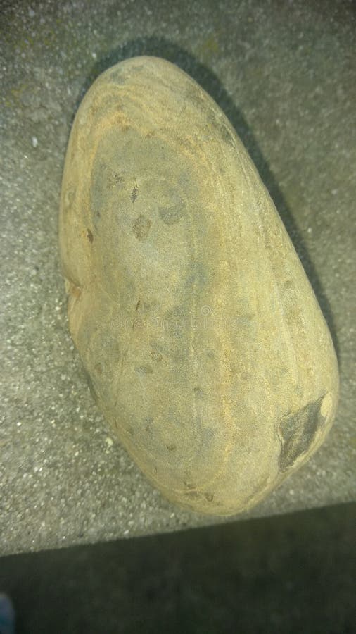 Sacramento river stock image. Image of rock, dirt, buried - 114436829