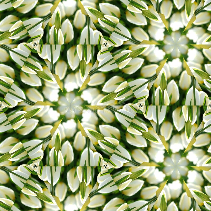 Geometry and Flowers stock illustration. Illustration of creative - 9553679