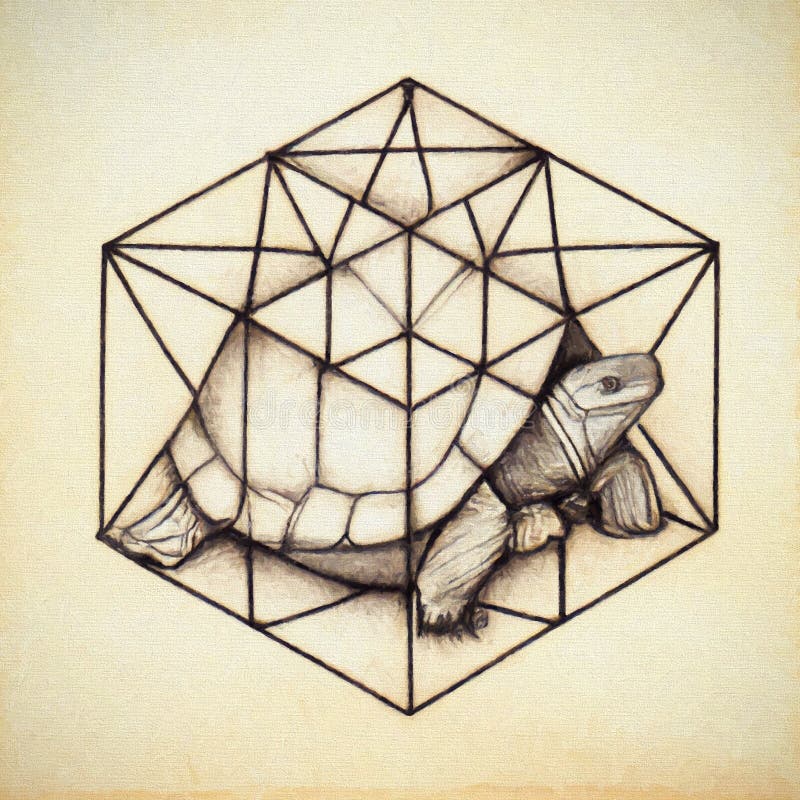 Sacred Geometry Tortoise Ink on Old Paper Hypercube Stock Illustration ...