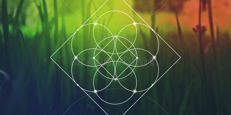 Sacred Geometry Web Banner. Math, Nature, and Spirituality in Nature ...