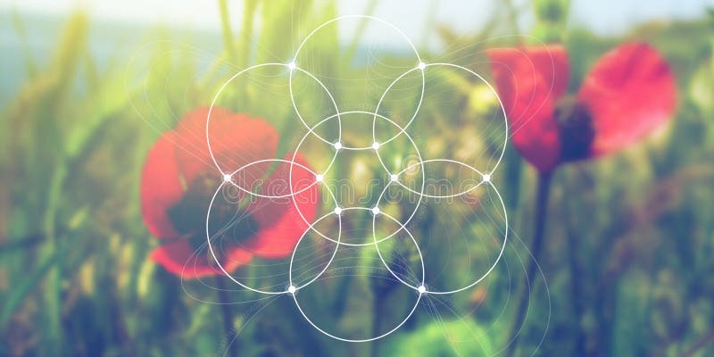 Sacred Geometry Web Banner. Math, Nature, and Spirituality in Nature ...