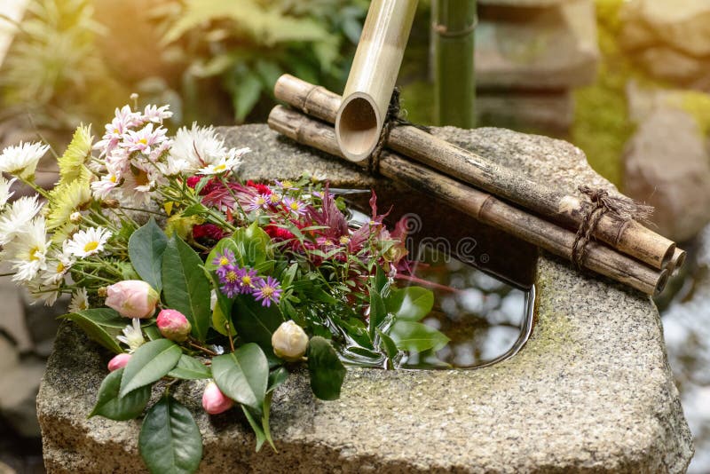 Sacred bamboo spring stock photo. Image of country, original - 175783556