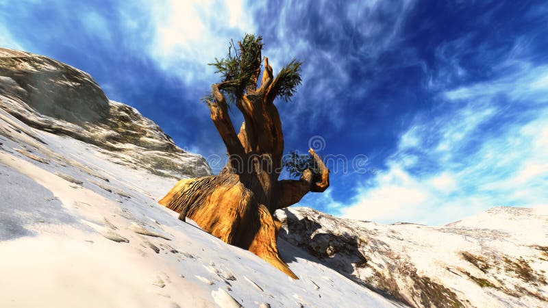 Sacred tree stock photo. Image of rocky, root, trunk - 25358172