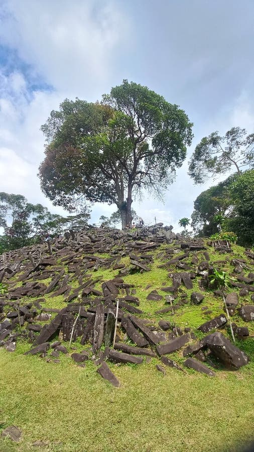 The Sacred Tree on the Megalitic Hill Stock Photo - Image of beauty ...