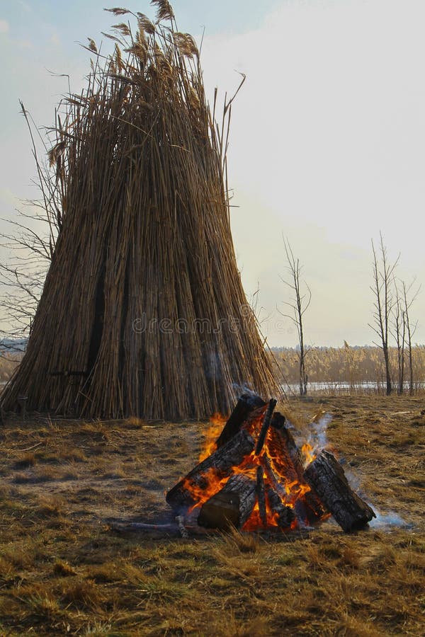 Sacrifice Fire at the Beach Stock Photo - Image of sacrifice, beach ...