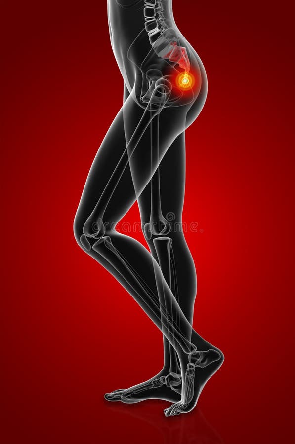 3D Rendering Illustration of Sacrum Bone Stock Illustration ...