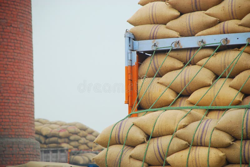 Sacs de paddy photo stock. Image du usine, traitement - 18358008