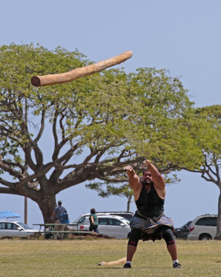 Sacudir el tronco imagen de archivo editorial. Imagen de sacudida ...