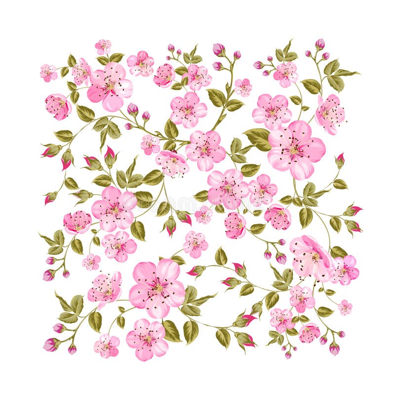 Sacura Flowers in Rectangle Pattern. Stock Vector - Illustration of ...