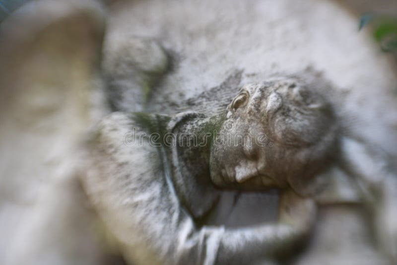 Sad angel stock photo. Image of face, angel, monument - 12131866