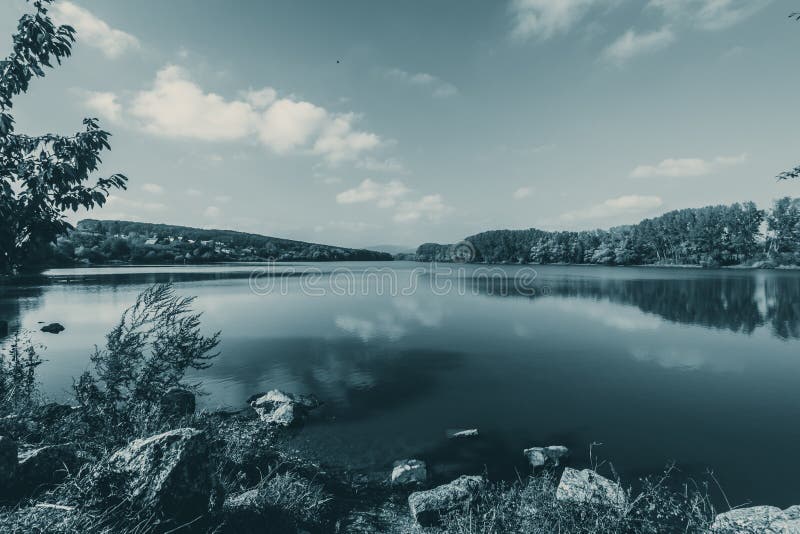 Sad Atmosphere in the Afternoon in the Pond with Trees Around Stock ...