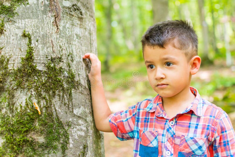 Sad boy in the forest stock photo. Image of nature, child - 124999182