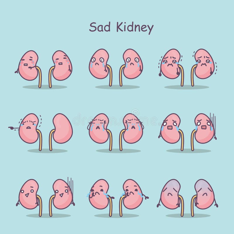 Sad Kidney Stock Illustrations – 232 Sad Kidney Stock Illustrations ...
