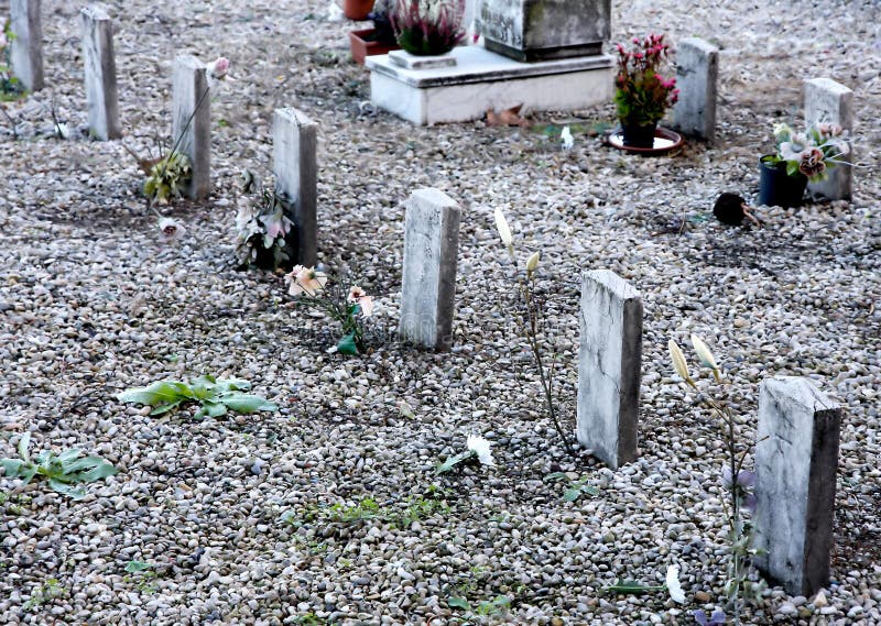 Sad Children S Graves in a Cemetery Stock Image - Image of dead, stop ...