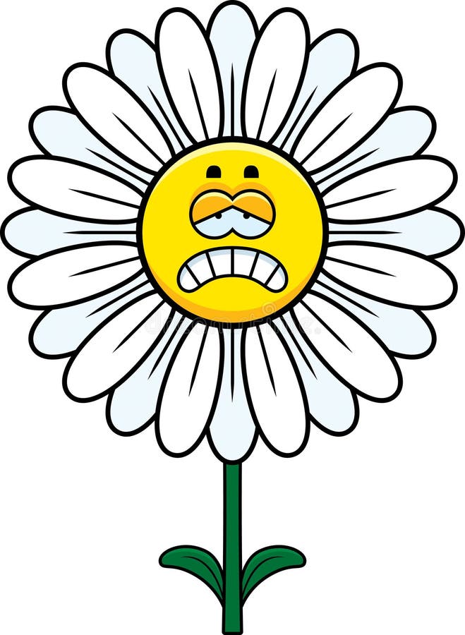 Sad Daisy stock vector. Illustration of flower, petals - 47754486