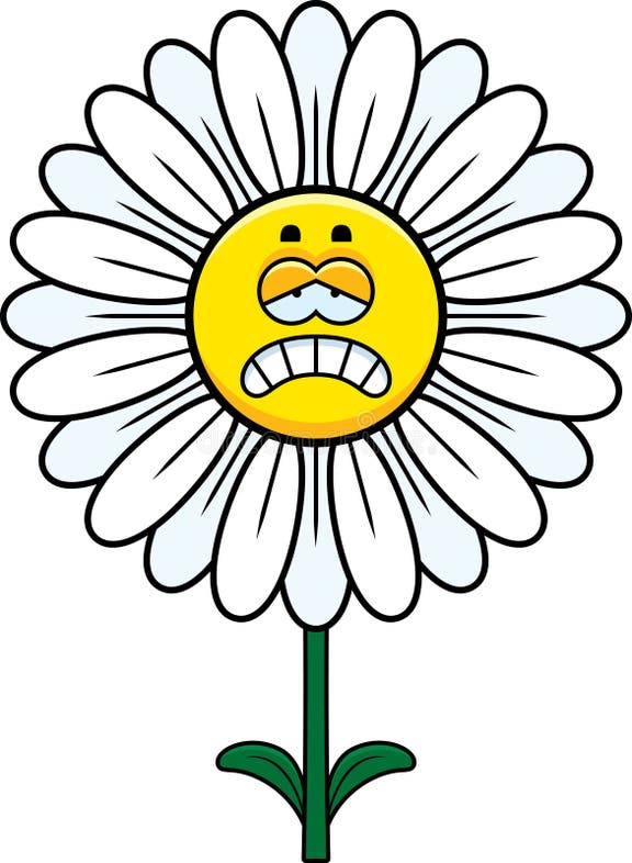 Sad Daisy stock vector. Illustration of flower, petals - 47754486