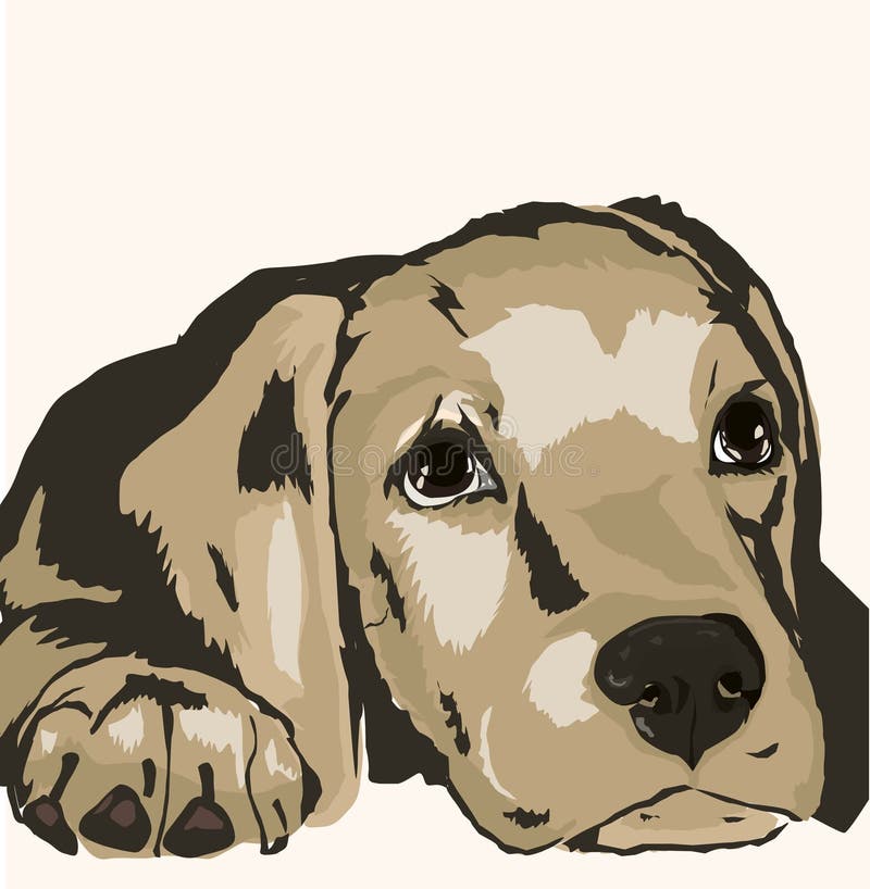 Labrador, Single Icon In Outline Style.Labrador, Vector Symbol Stock ...
