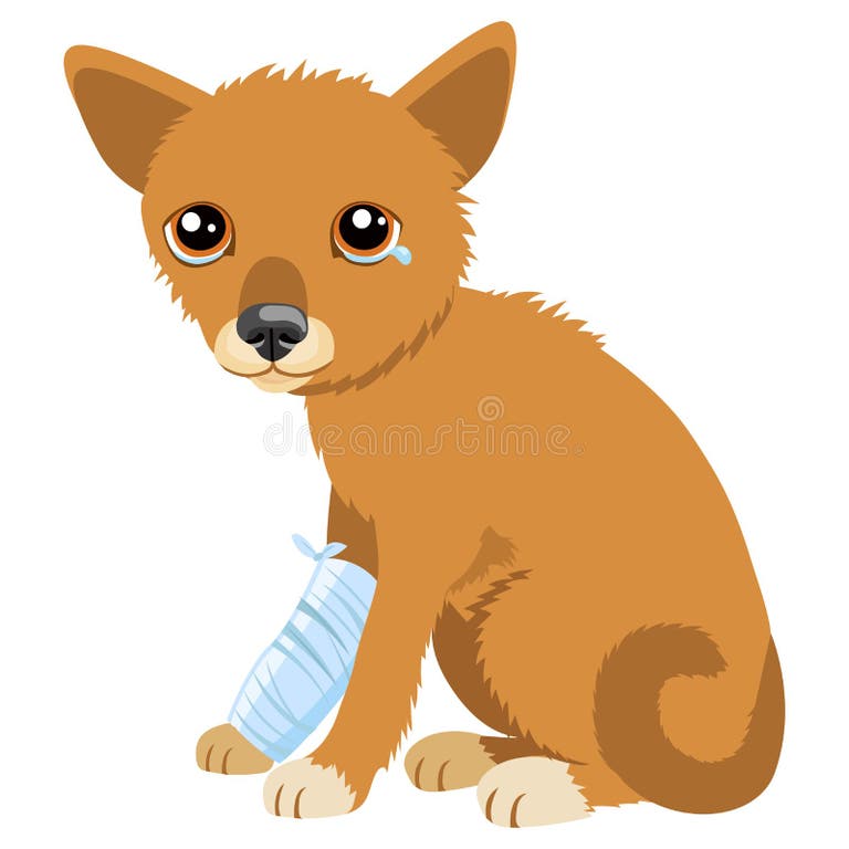 Splinting Leg Stock Illustrations 23 Splinting Leg Stock Illustrations Vectors And Clipart