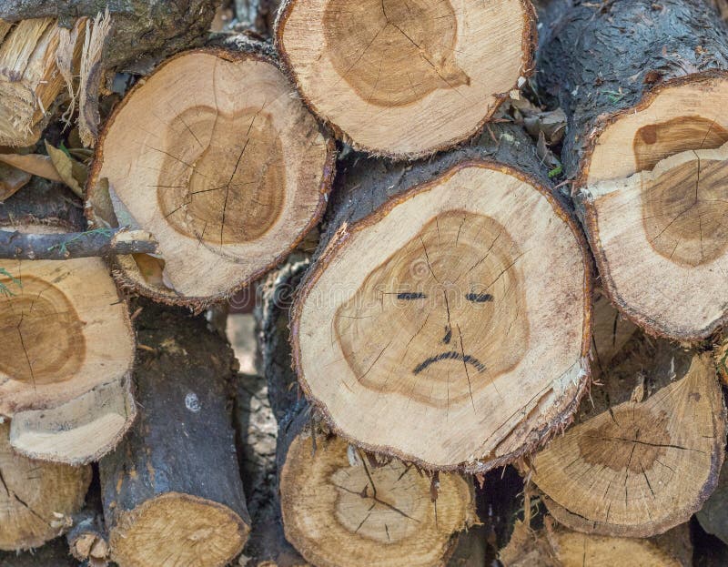 Sad Face on a Chopped Down Tree Stock Image - Image of fuel, design ...