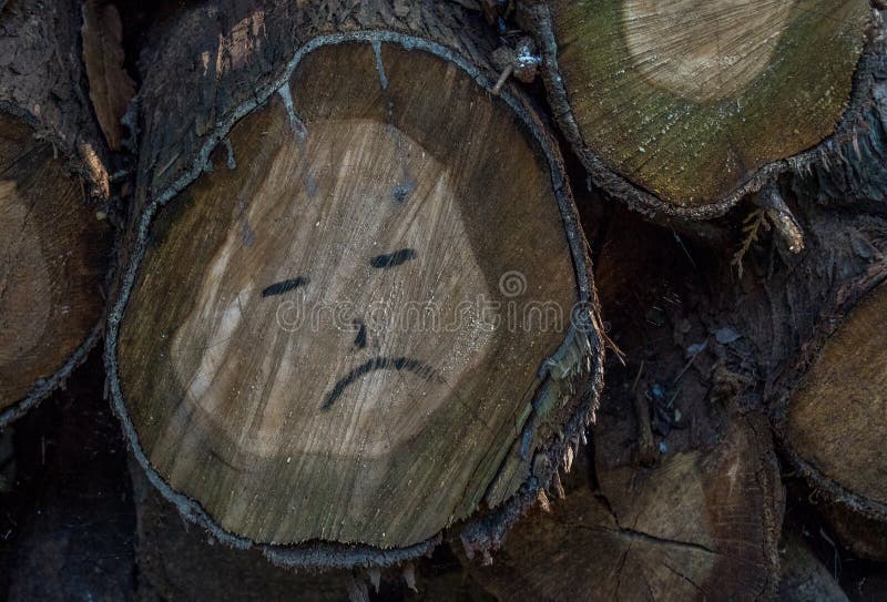 Sad Face Drawn on the Side of a Log Stock Image - Image of environment ...