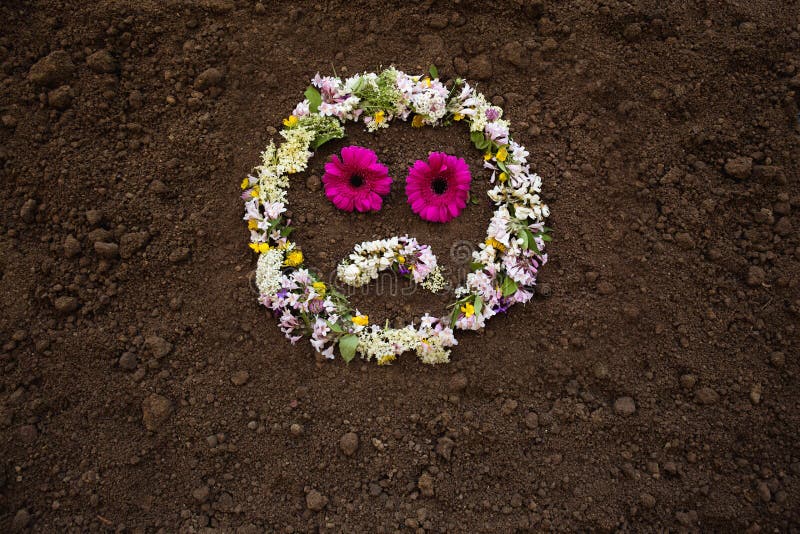 116 Smiley Sad Flower Stock Photos - Free & Royalty-Free Stock Photos ...