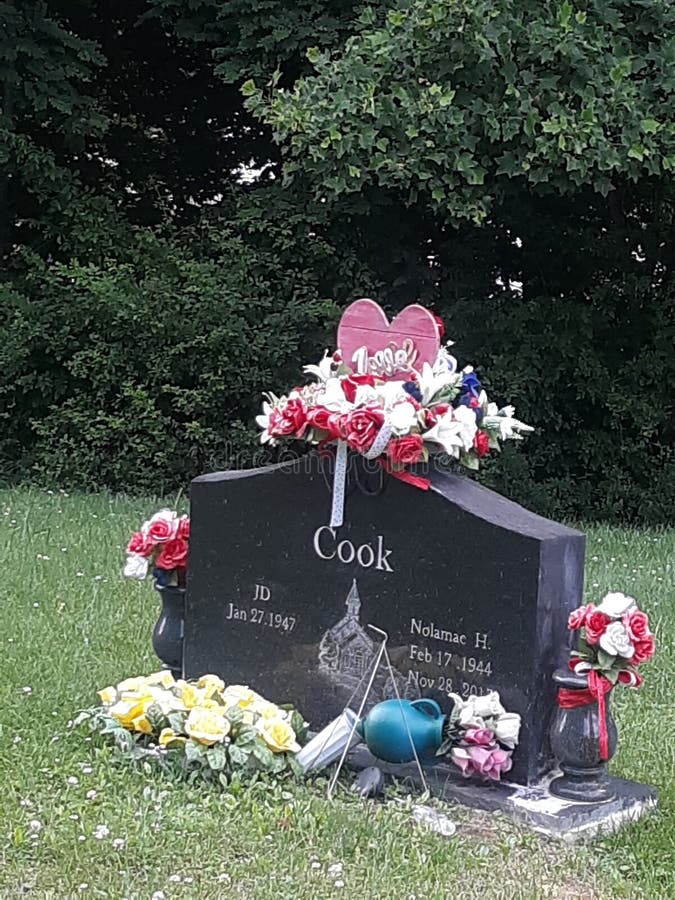 Sad grey shrub colors editorial stock image. Image of grave - 189256194