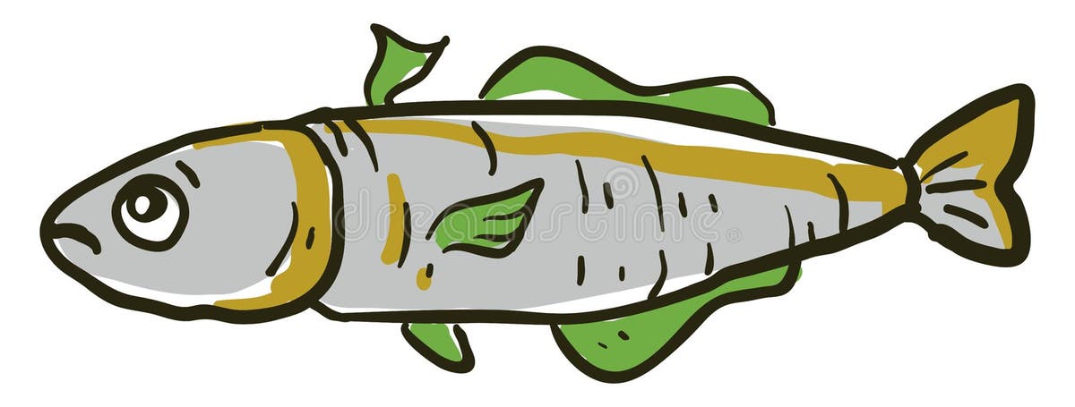 Hake Vintage Fish Stock Illustrations – 43 Hake Vintage Fish Stock ...