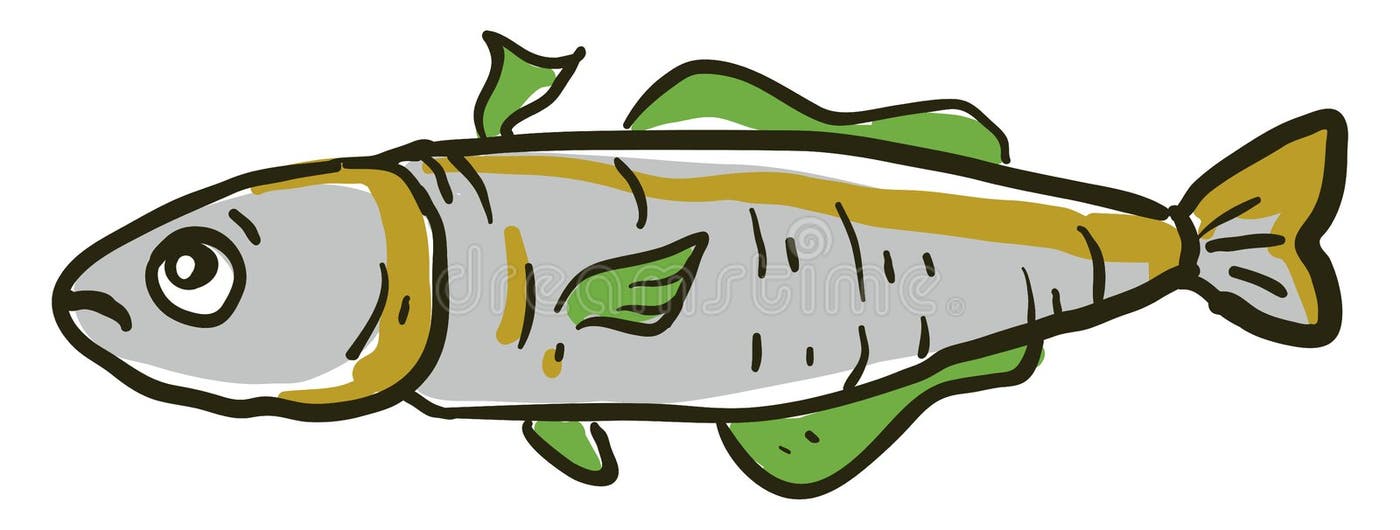 Hake Vintage Fish Stock Illustrations – 43 Hake Vintage Fish Stock ...