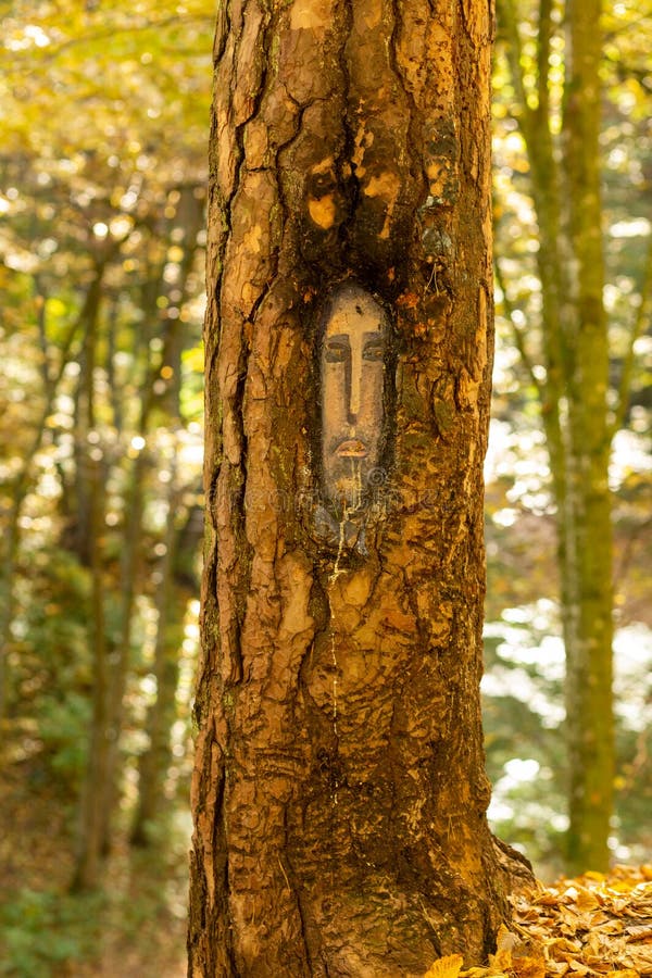A Sad Human Face in the Form of an Icon is Painted on the Trunk of a ...