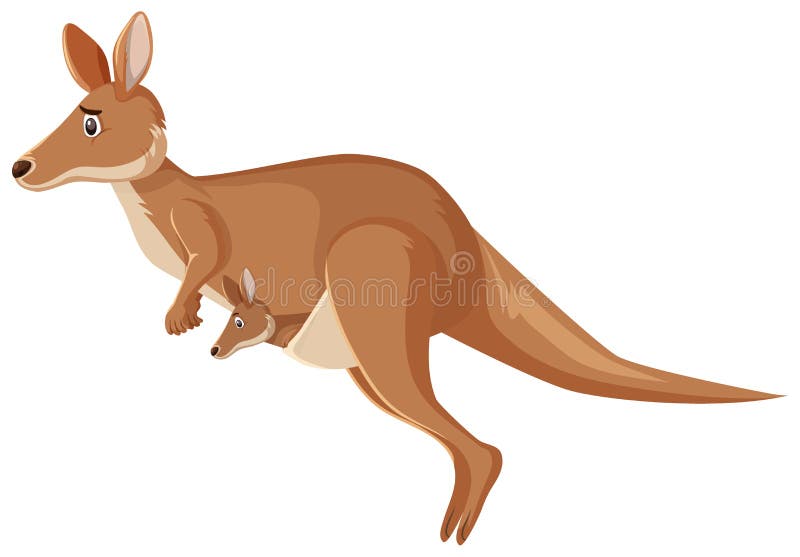 Sad Kangaroo Stock Illustrations – 246 Sad Kangaroo Stock Illustrations ...