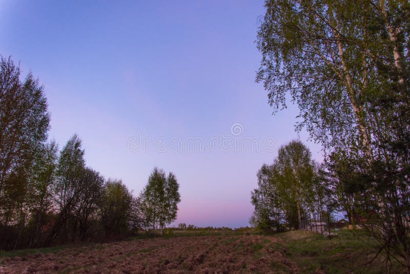 Sad landscape stock photo. Image of tree, spring, leaves - 93096526