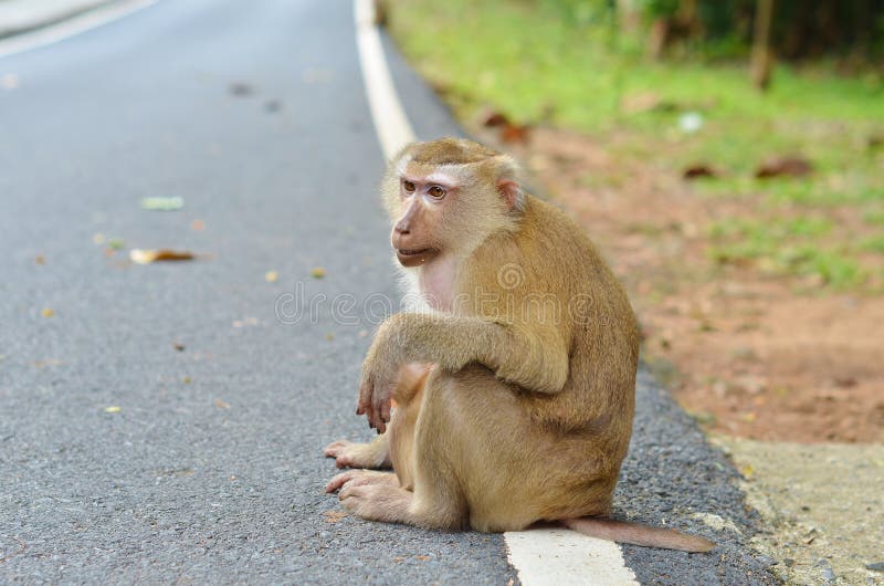 Waiting for a lift stock photo. Image of stranded, carefree - 1380970
