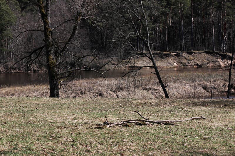 Sad Mood Early Spring River Bank and Trees Stock Photo - Image of ...