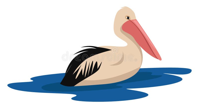 Pelican Illustration stock vector. Illustration of water - 111589865