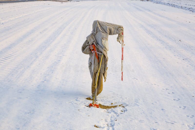 Sad, Ragged and Freezing Scarecrow in Winter on the Snowfield Stock ...