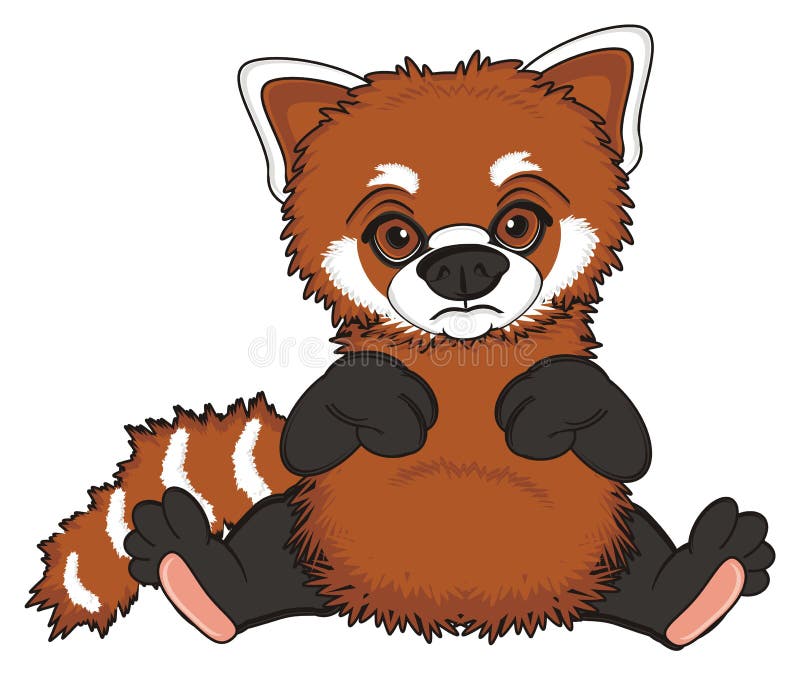 Redpanda Sit Stock Illustrations – 11 Redpanda Sit Stock Illustrations ...