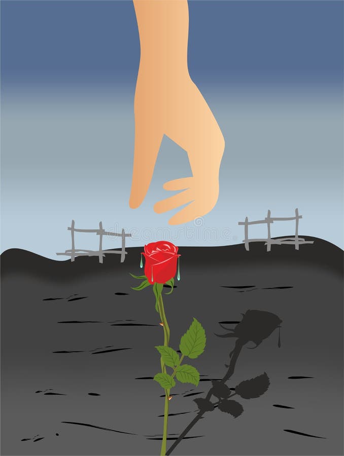 Crying Rose stock illustration. Illustration of story - 72612223