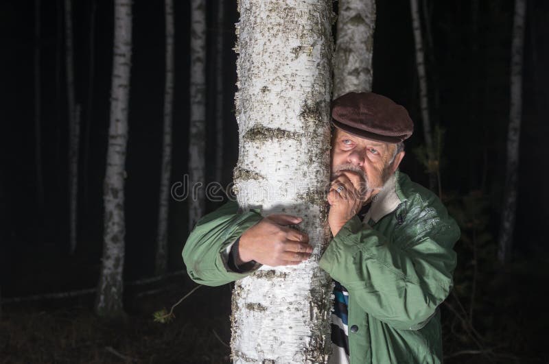 Sad Senior Man Lost in Birch Forest Stock Image - Image of embrace ...