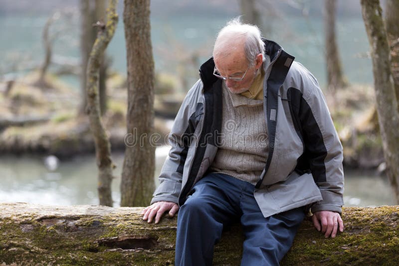 Wise Old Man Sitting Under Tree in the Forest Stock Image - Image of ...