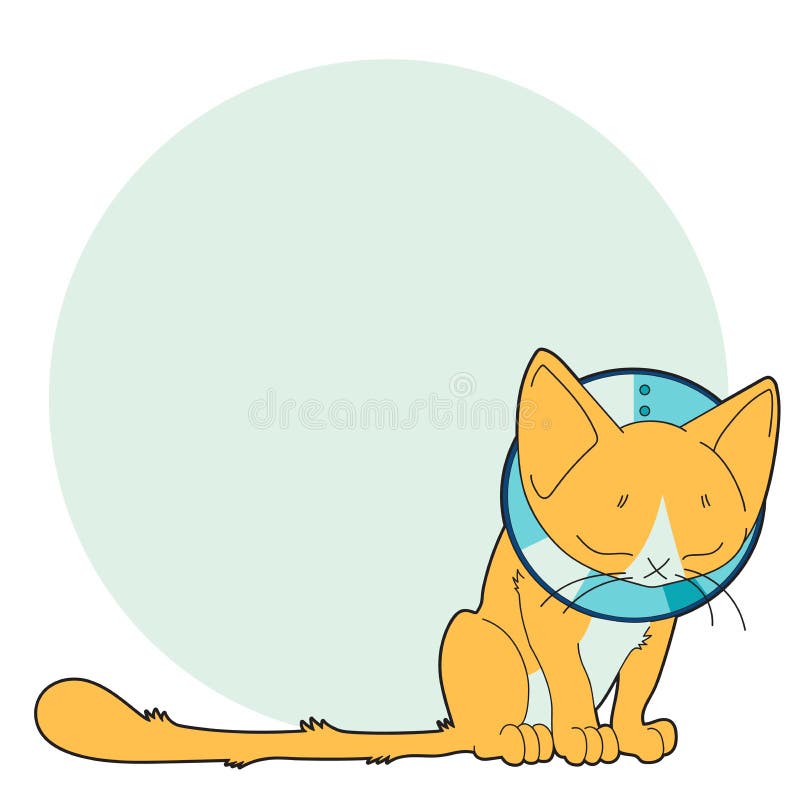 Sad, Sick Orange Cat On The Coloured Circle In The Protective Collar ...
