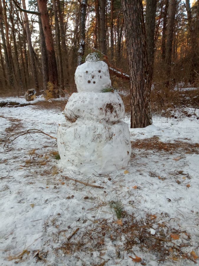 Sad Snow Man stock photo. Image of plant, blizzard, tree - 240732546