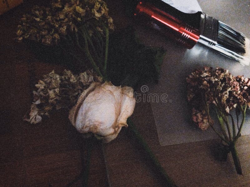 Sad story stock photo. Image of september, random, story - 77740476