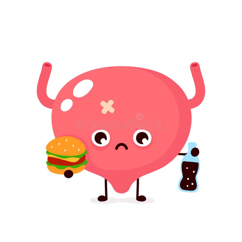 Cute Bladder Stock Illustrations – 1,156 Cute Bladder Stock ...