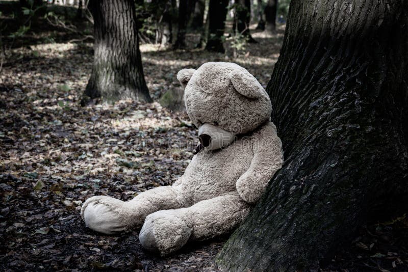 Teddy Bear Abandon Stock Photos - Free & Royalty-Free Stock Photos from ...